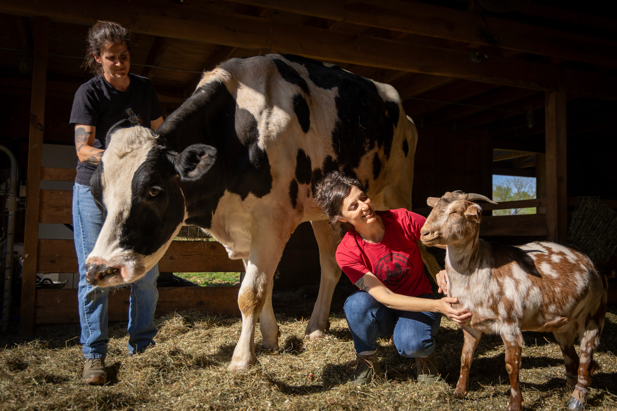 Additional Ways to Give - Lancaster Farm Sanctuary